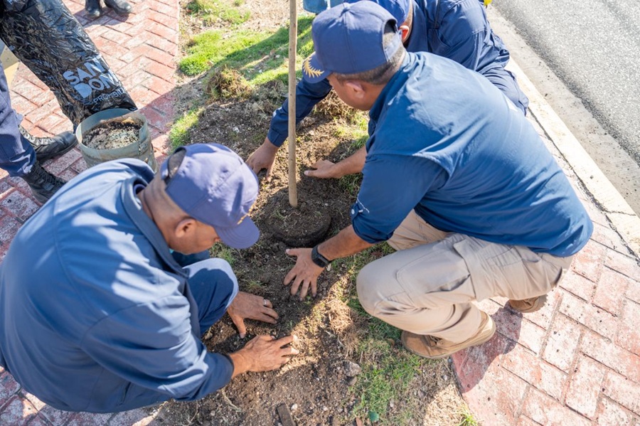 Alcaldía del DN continúa Plan de Arbolado Urbano con plantación de 150 ...